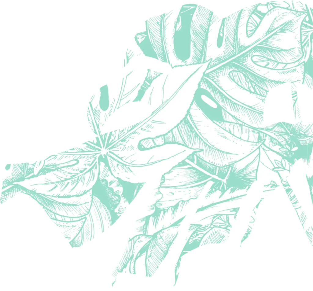 Jungle Tea – באבל טי מקורי היישר מטאיוואן